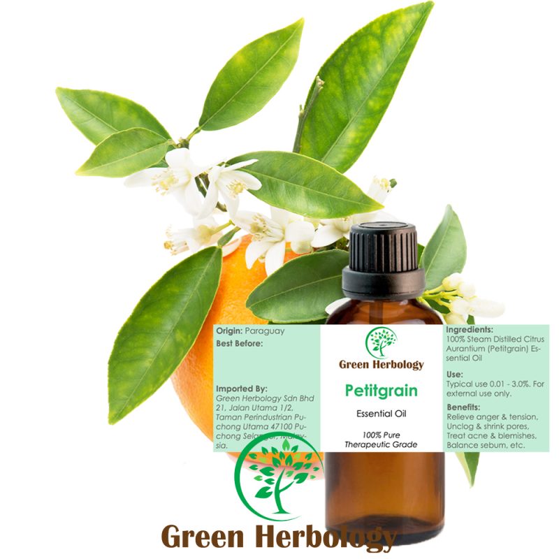 Petitgrain Essential Oil 5ml - Green Herbology