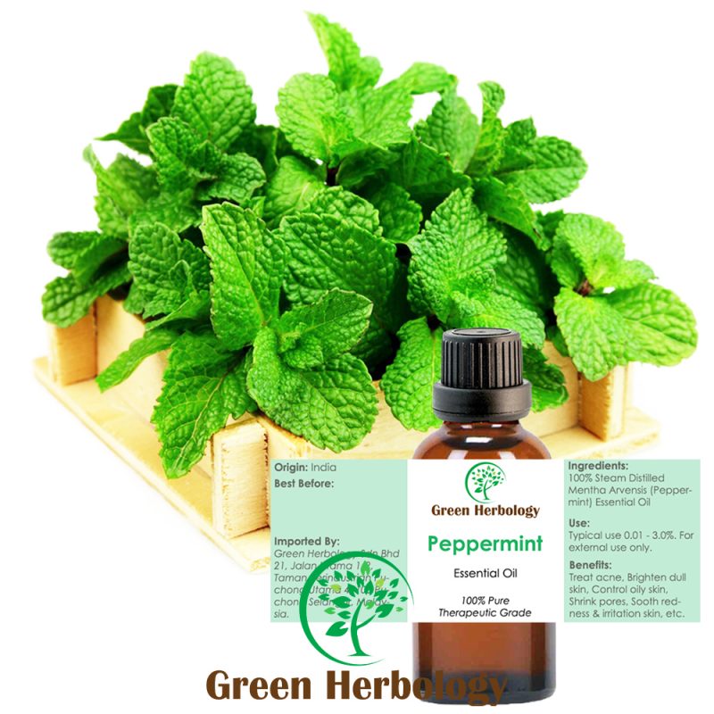 Flash Sales – Peppermint Essential Oil 5ml With ISO-9001 Cert | Green ...