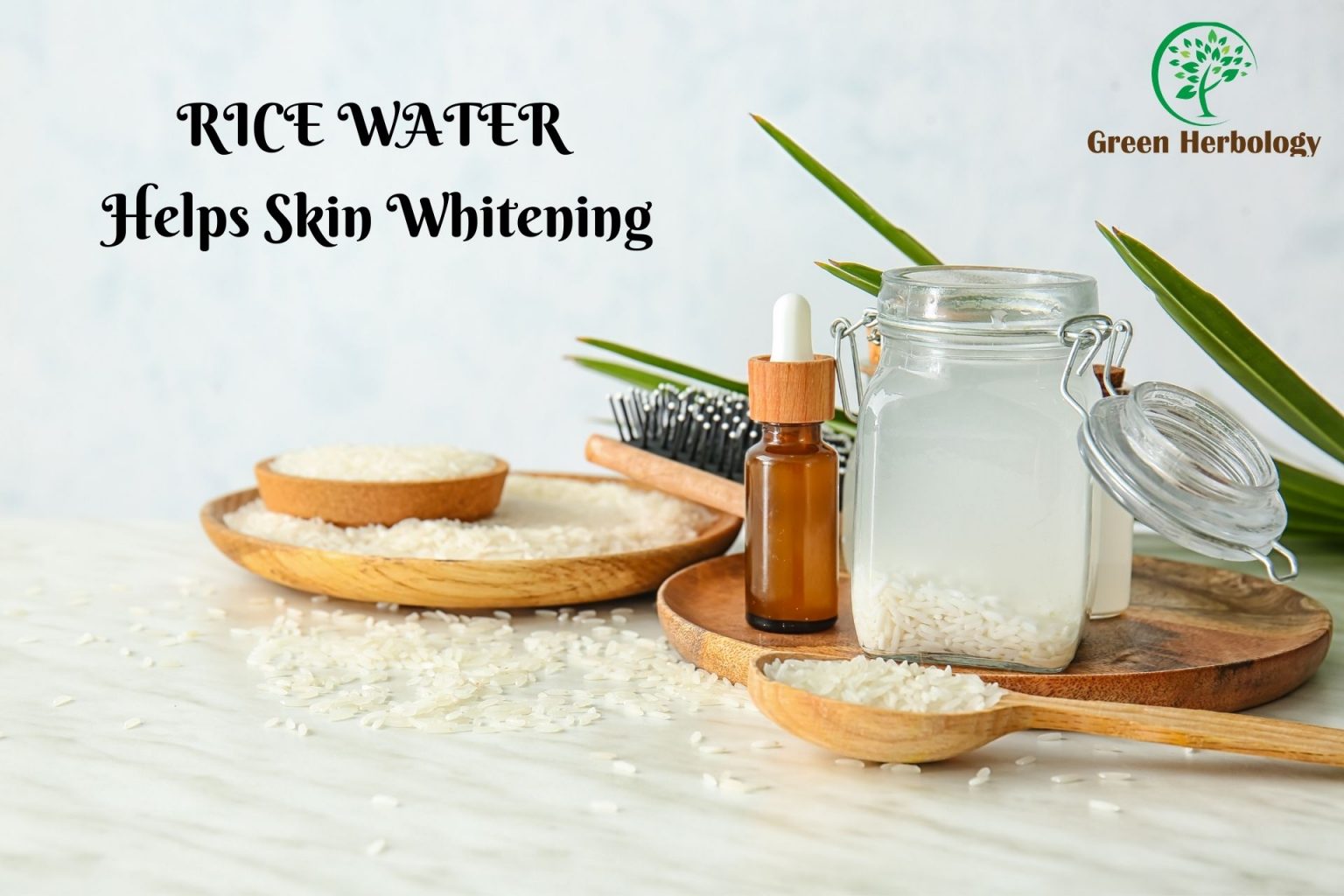 HOW TO GET WHITE AND ANTI-AGING SKIN NATURALLY BY USING RICE | Green ...