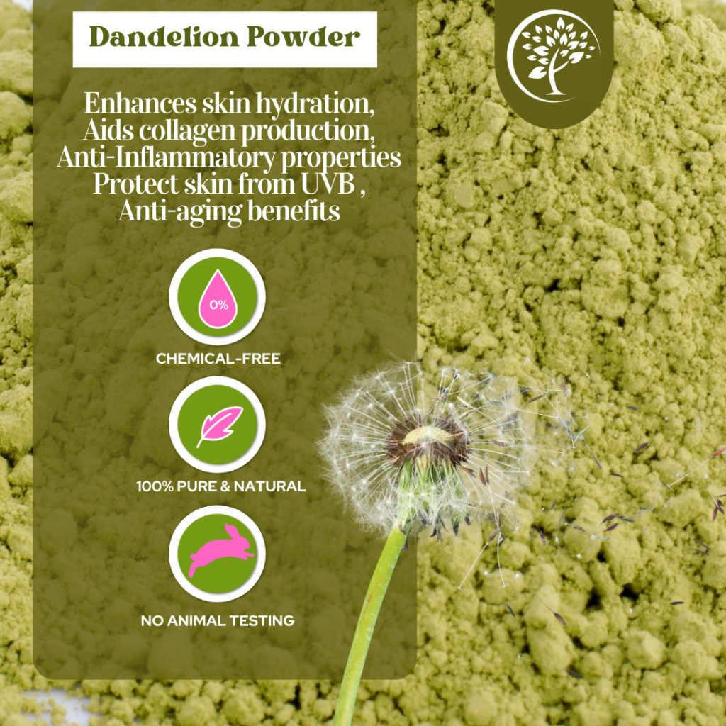 Dandelion Powder-For Cosmetic Use | Green Herbology