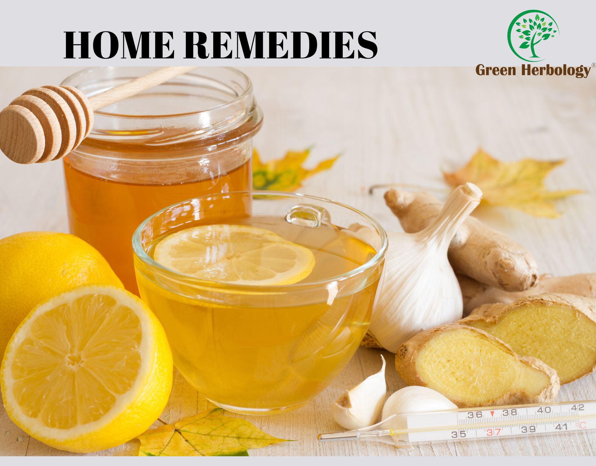 Green Herbology| Latest Skin Care News, Home Remedies Recipe | Green ...