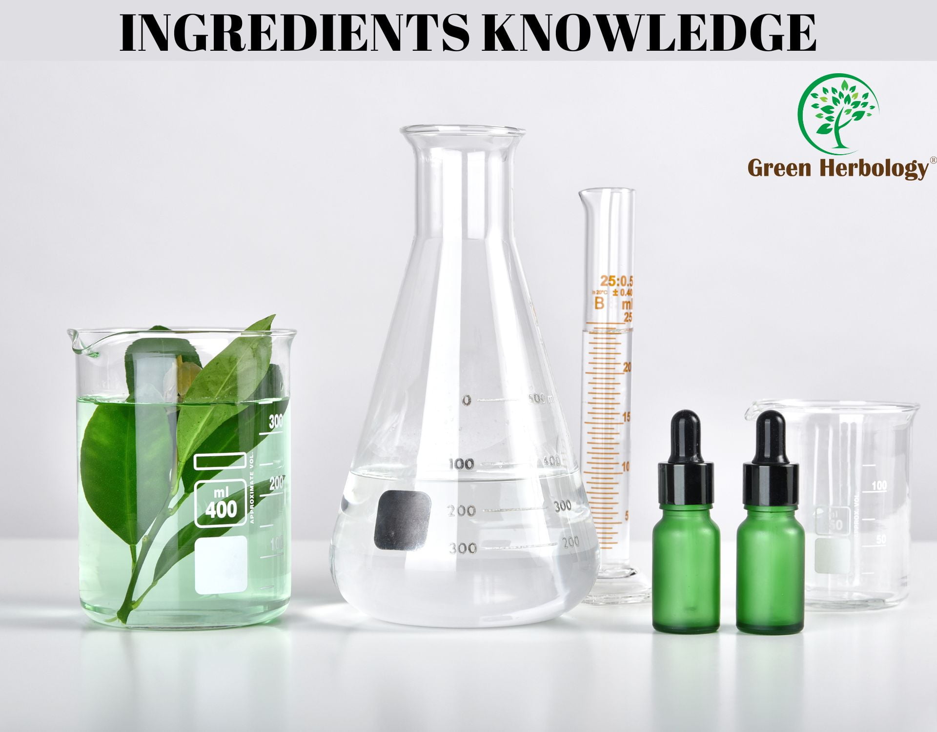 DIY Guide - Green Herbology