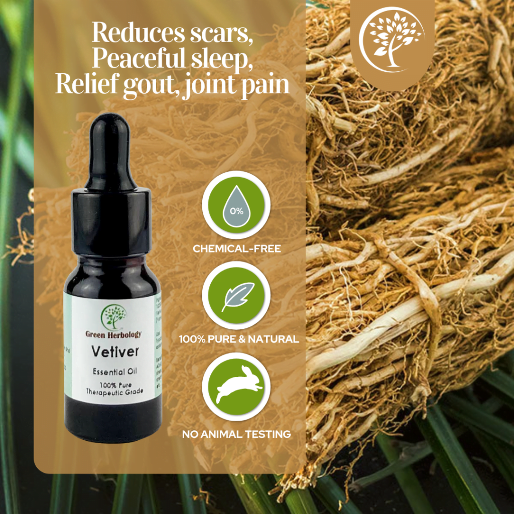 Vetiver Essential Oil | Green Herbology