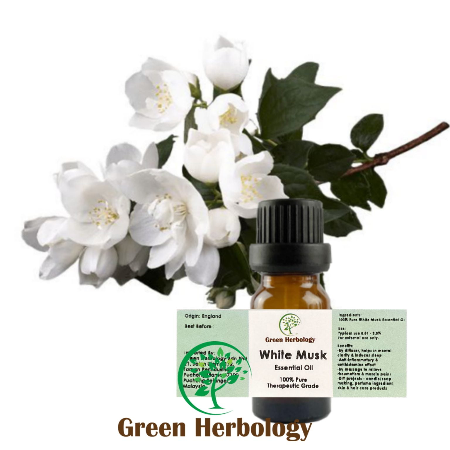 White Musk Essential Oil, Aromatherapy | Green Herbology